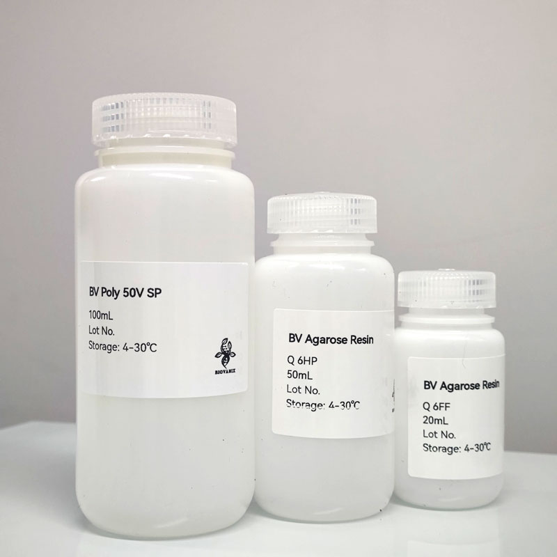Agarose Gel Beads of Affinity Chromatography | Biovanix